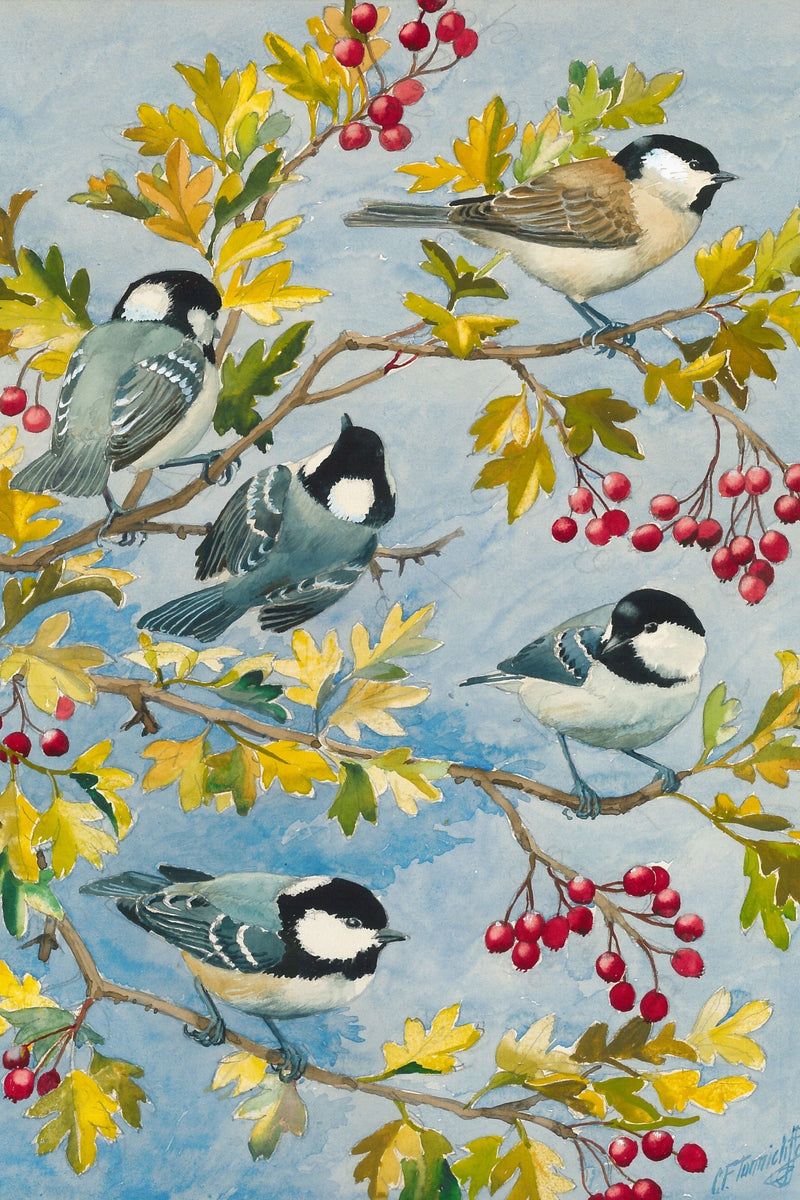 Cards & Stationary – Oriel Môn